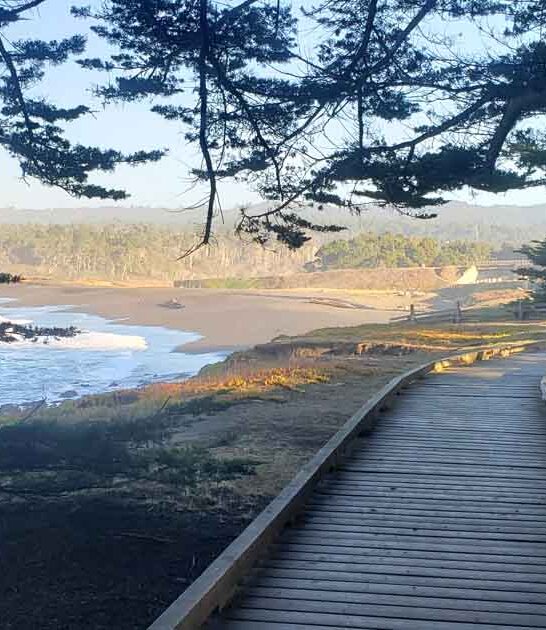 california parks stunning national ftr