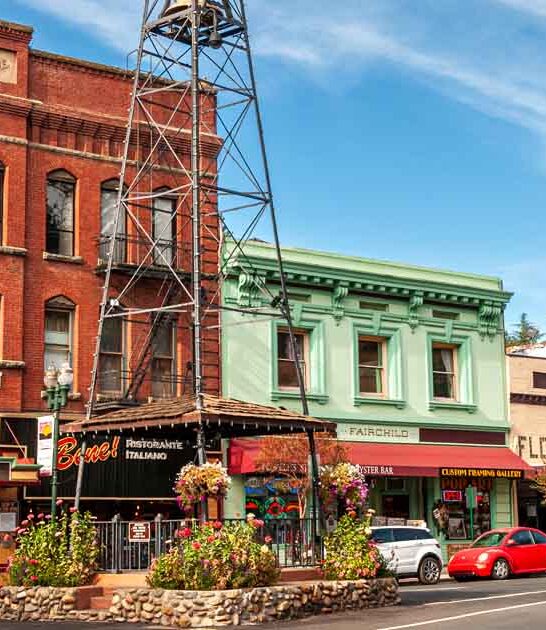 california simple perfect living ftr