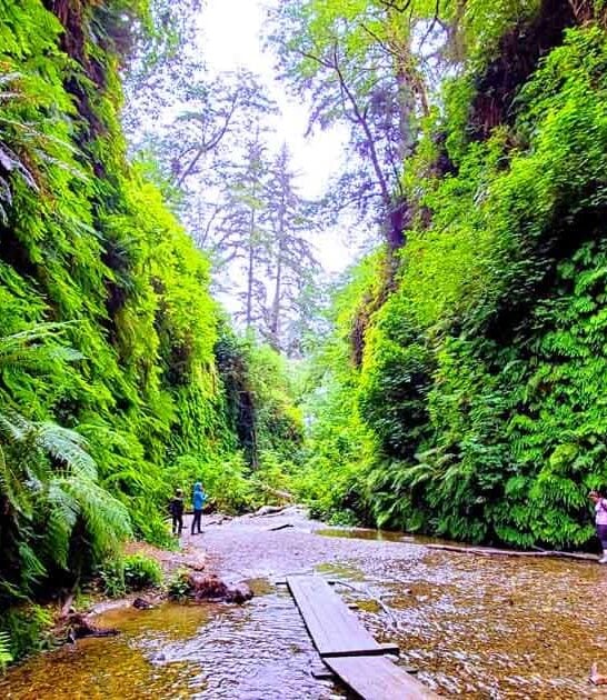 california state park stunning ftr