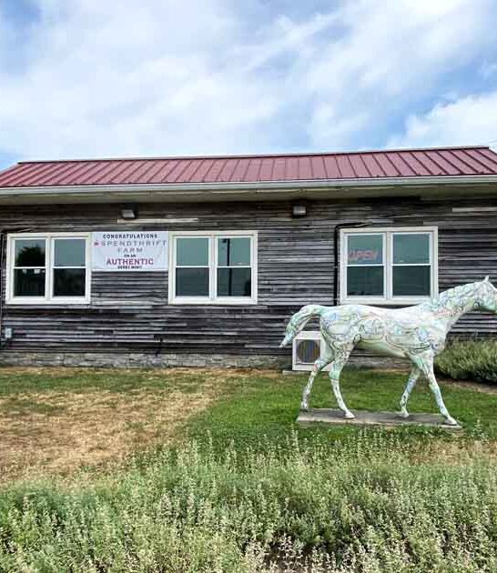catfish homey restaurant kentucky ftr