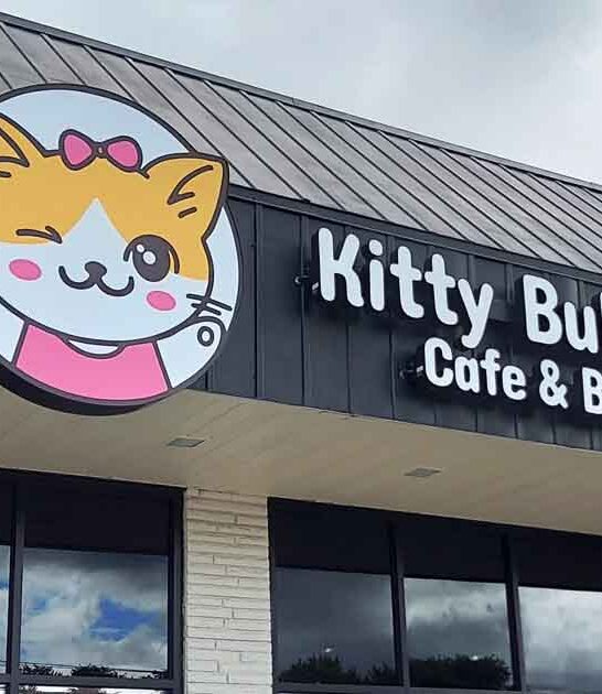 charming cafe ohio heart ftr