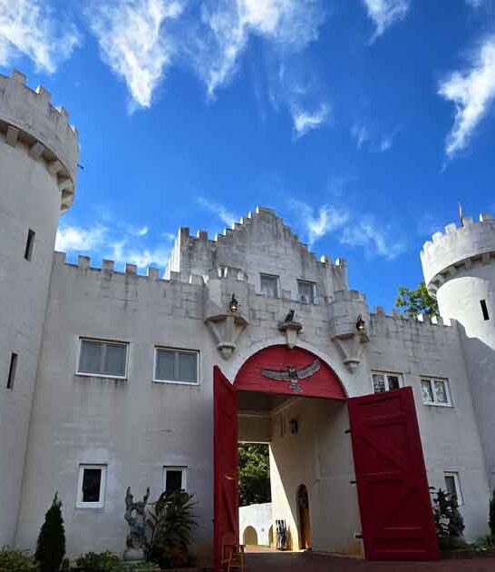 charming castle georgia world ftr