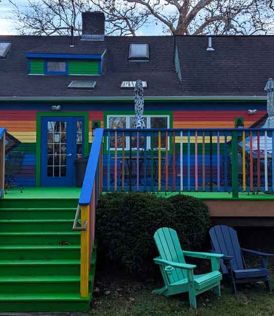 charming cat cafe connecticut ftr