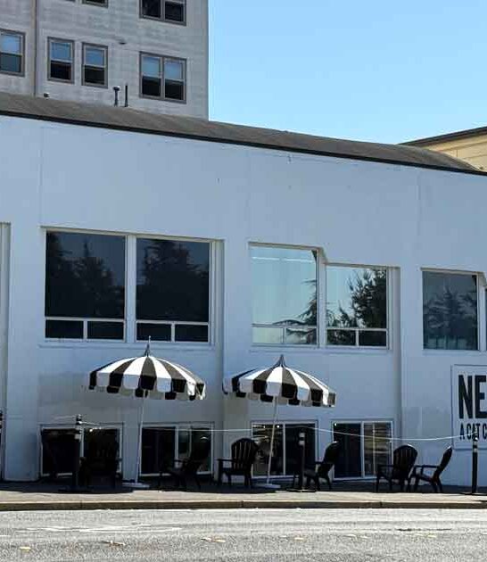 charming cat cafe washington ftr