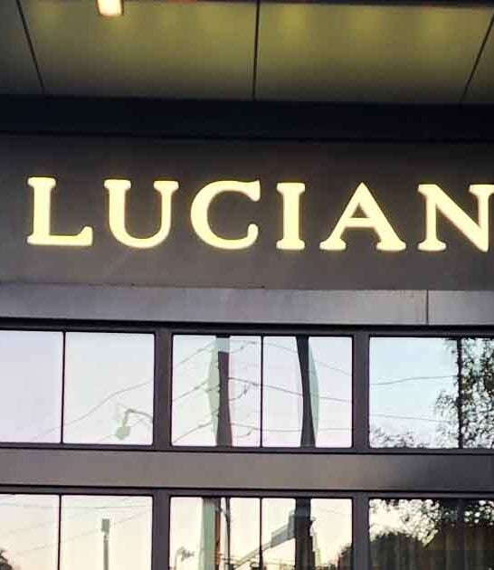 charming georgia bookstore wine ftr