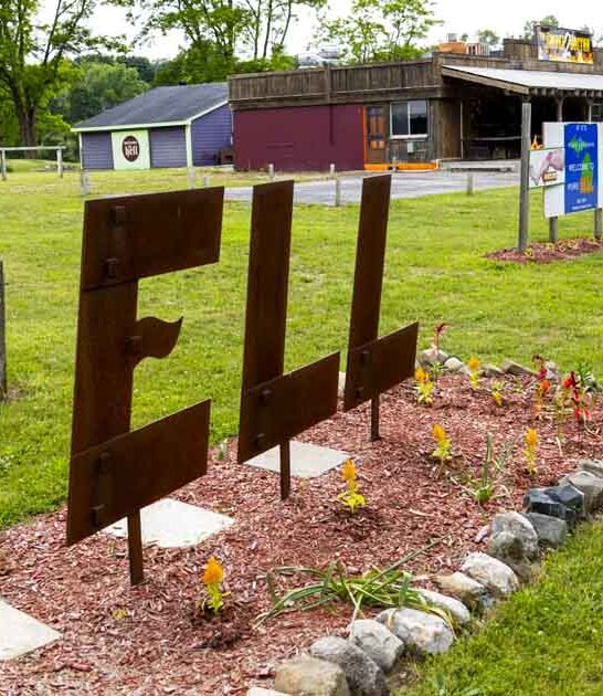 charmingly odd michigan town ftr