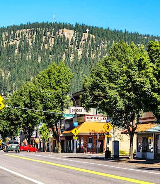 cheap washington day trips ftr