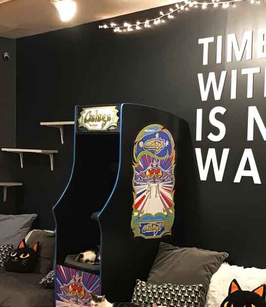 coffee play illinois lounge ftr