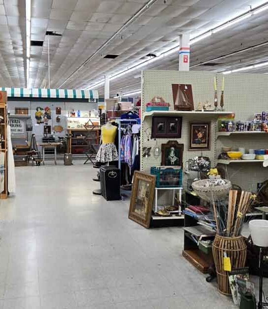 collectibles wonderland ohio store ftr