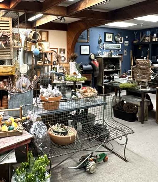 colorado antique store experience ftr