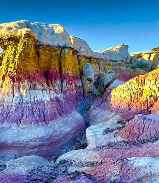 colorado stunning park feel ftr