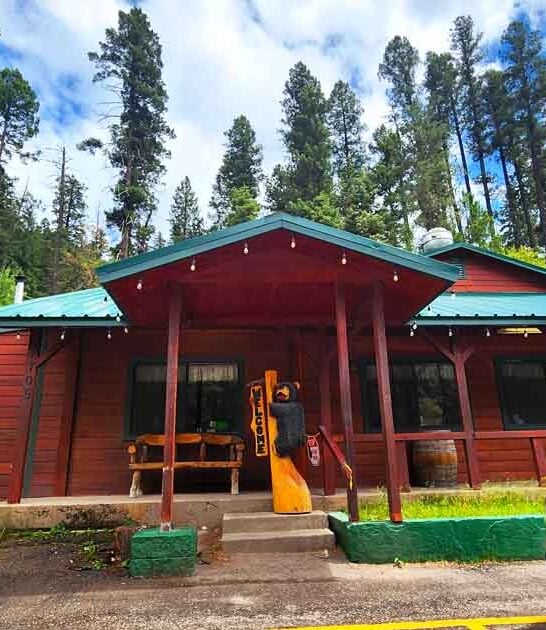 comfort new mexico food ftr