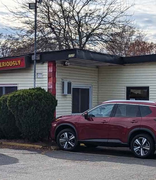 connecticut hot dog joint ftr