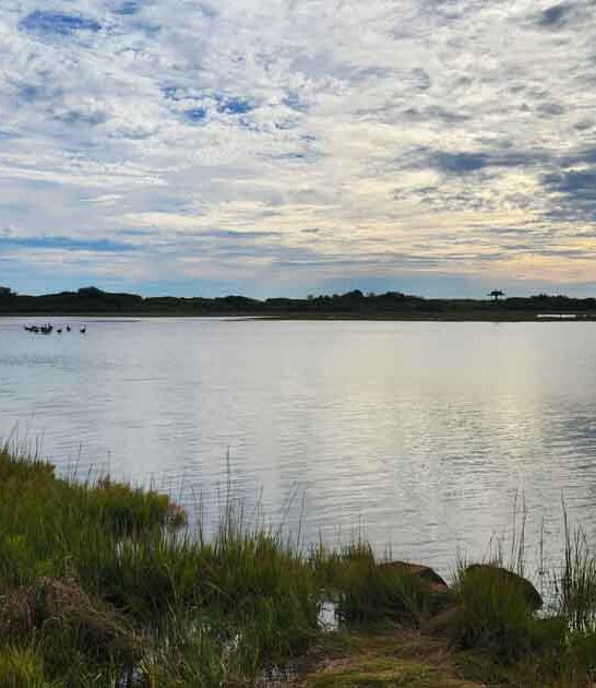 connecticut postcard state park ftr