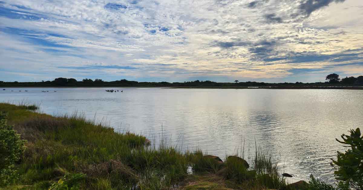 The Gorgeous State Park In Connecticut That's Straight Out Of A Postcard