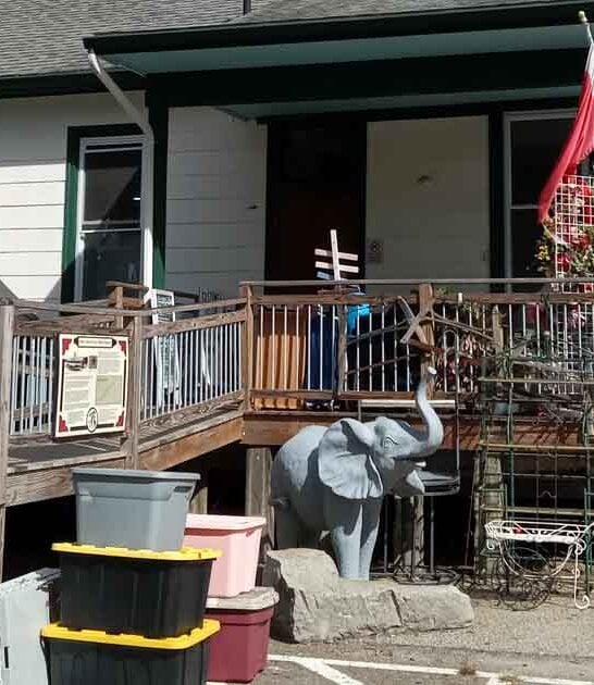 connecticut treasures rare thrift ftr