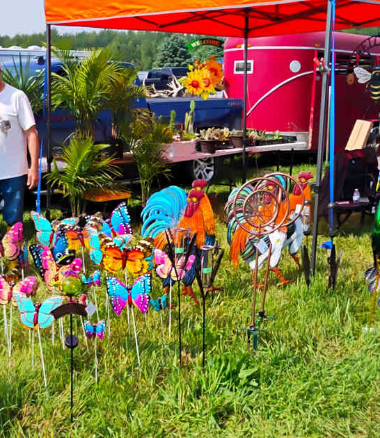 costco bargain indiana flea ftr