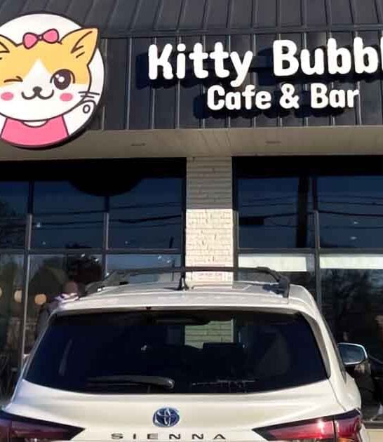 cozy ohio cat cafe ftr