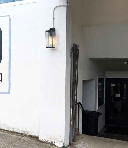 cozy washington cat cafe ftr