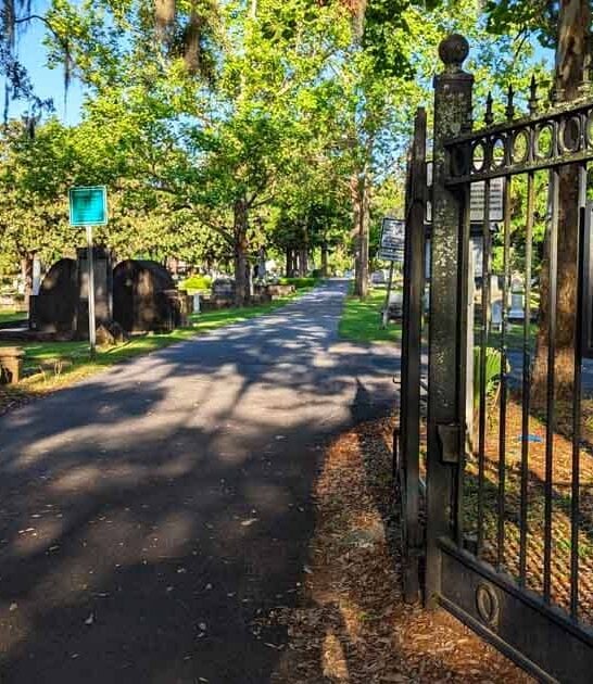 creepy florida cemetery historic ftr