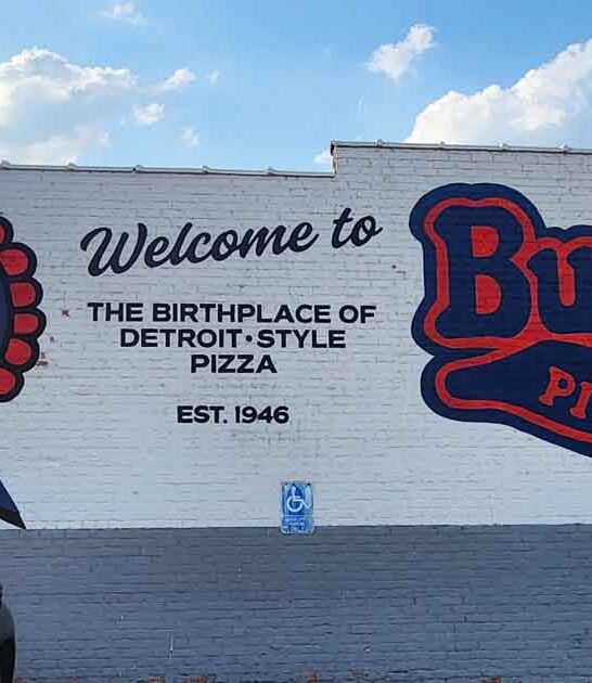 delicious pizza restaurants michigan ftr