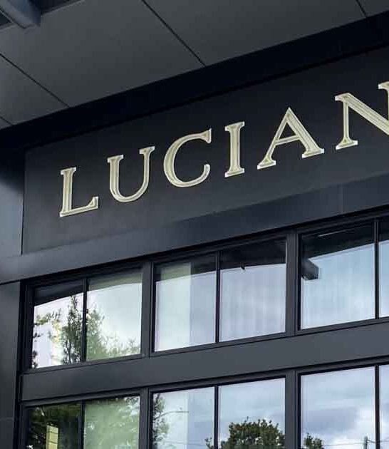 delightful bookstore georgia wine ftr