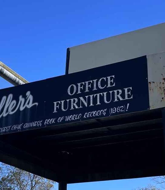 delightfully odd attraction alabama ftr