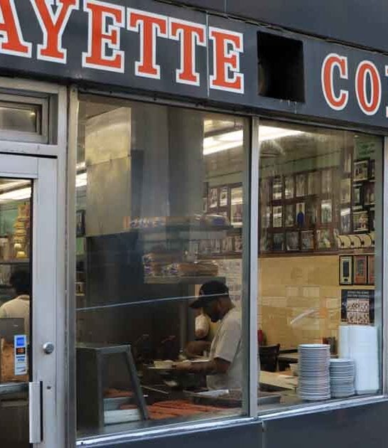 diner authentic coney michigan ftr