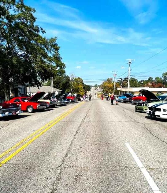 dirt cheap trips alabama ftr