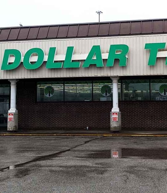 dollar store minnesota cheap ftr