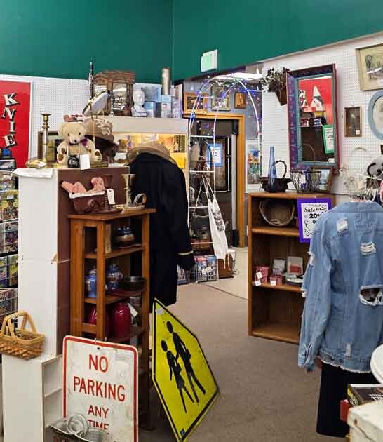 dream antique store colorado ftr