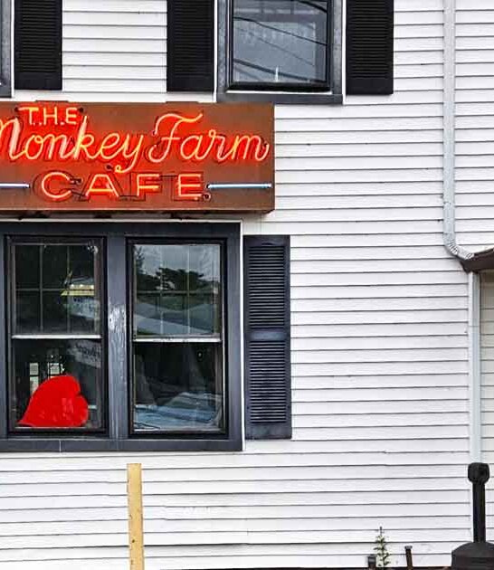 dreams seafood connecticut unassuming ftr