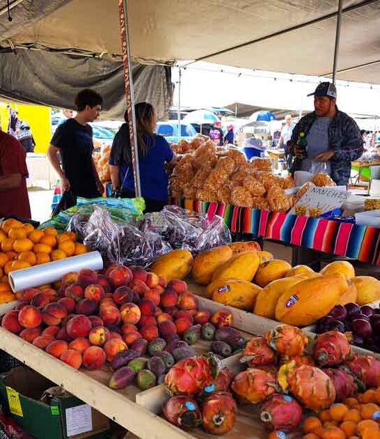 dreams thrifting illinois market ftr