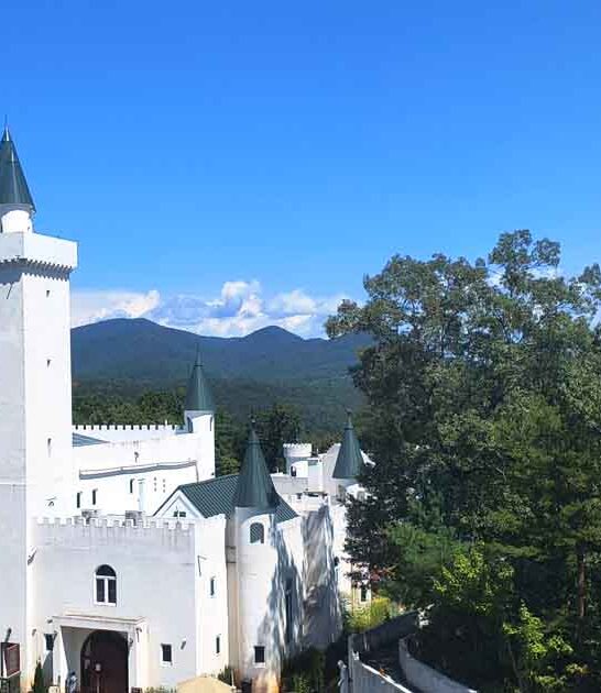 dreamy georgia castle adventure ftr