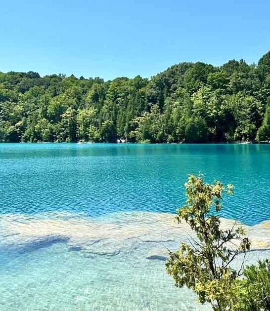 dreamy lakes new york ftr