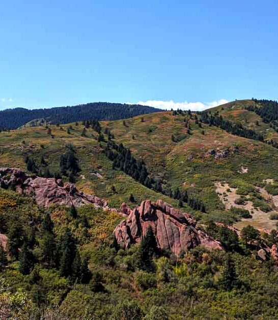 dreamy state colorado park ftr