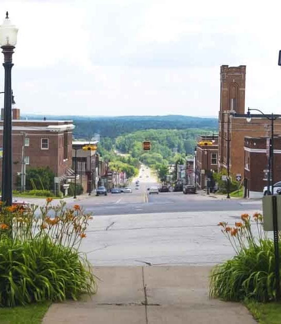 dreamy town michigan security ftr