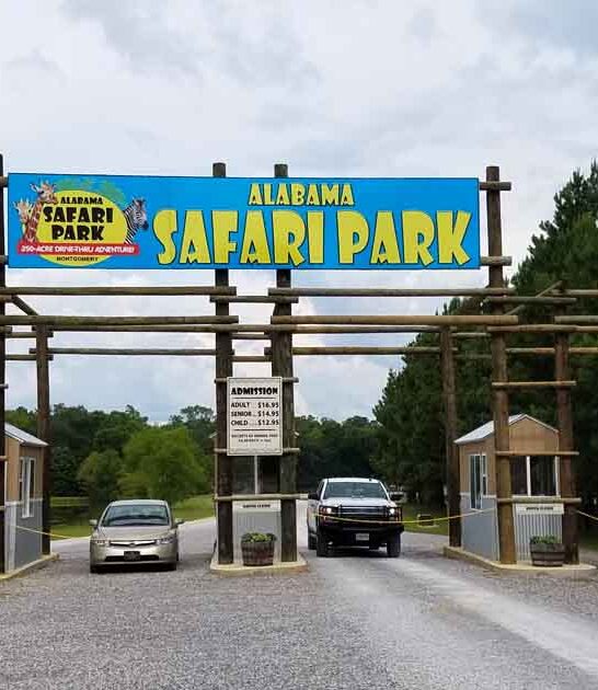 drive alabama safari park ftr