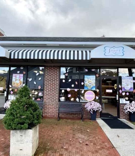 drive connecticut humble bakery ftr