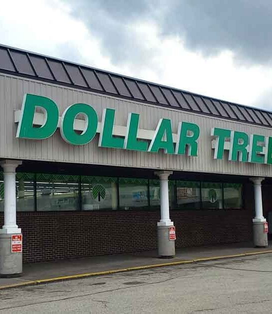 drive minnesota dollar store ftr