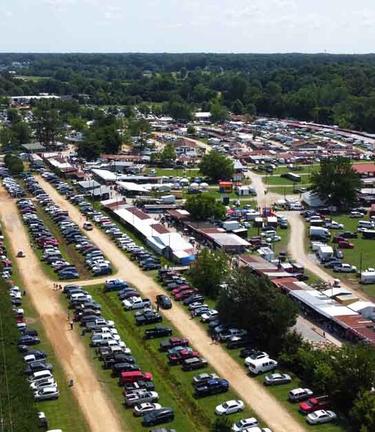 drive mississippi flea market ftr