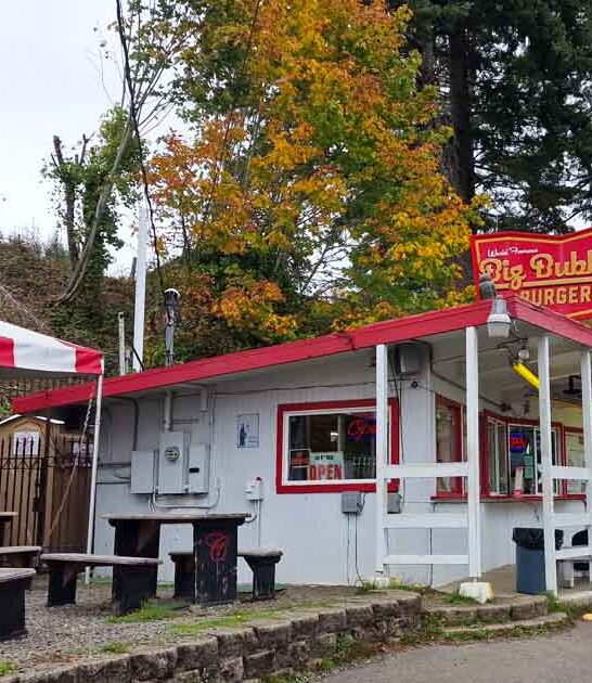 drive over washington restaurant ftr