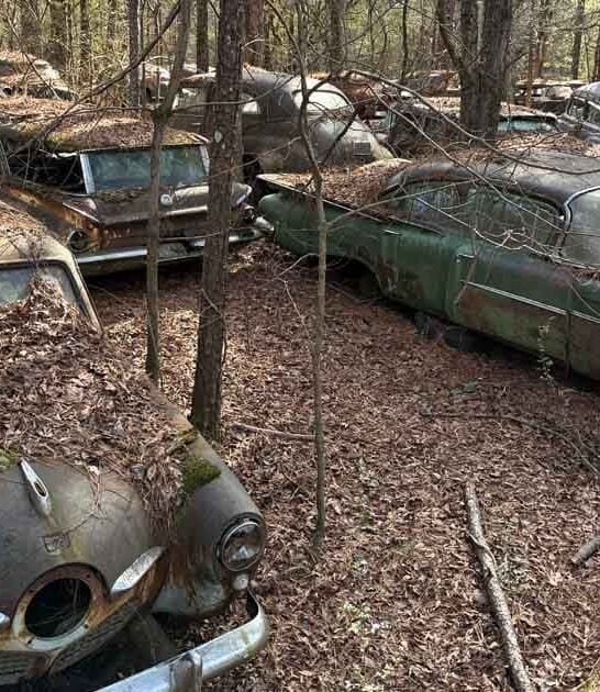 eerie car graveyard georgia ftr