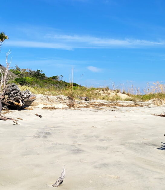 eerie south carolina beach ftr
