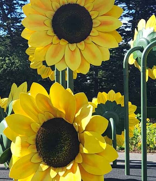 enchanted new york garden ftr