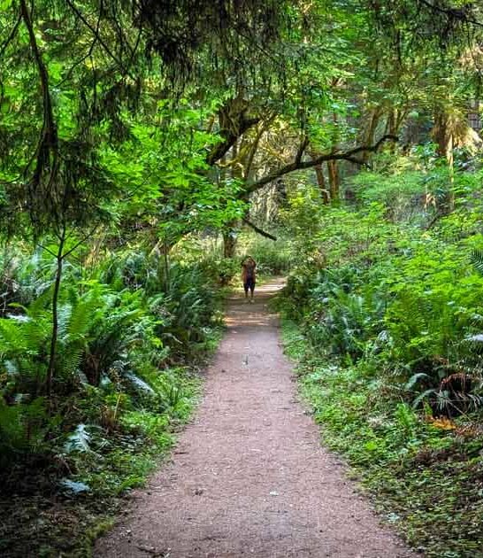 enchanting california state park ftr