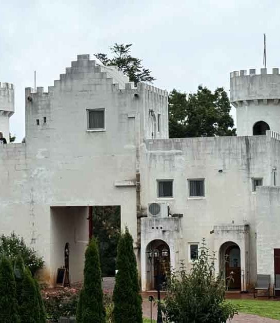 enchanting castle georgia royalty ftr