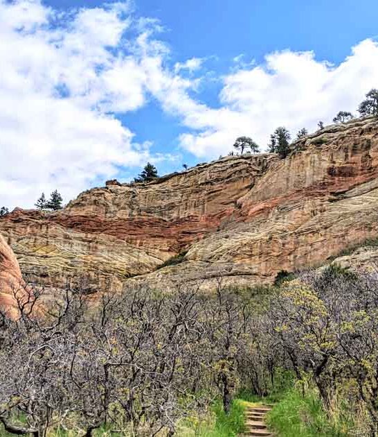enchanting colorado park surreal ftr