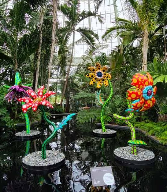 enchanting new york garden ftr