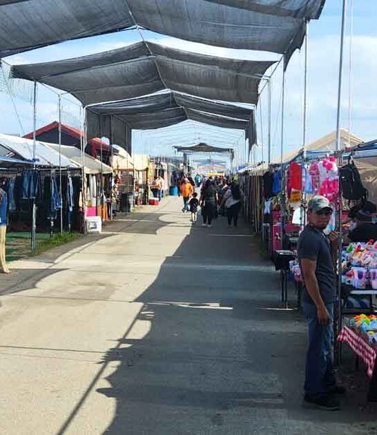 enormous cheap market washington ftr